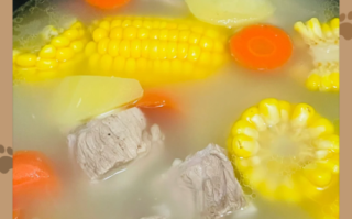 土豆炖排骨汤怎么做_土豆炖排骨汤的正宗做法