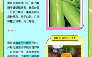 世界上有北瓜吗_北瓜是什么瓜