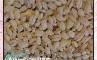 青稞米图片_青稞米怎么做好吃