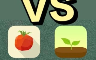 番茄todo和forest哪个好_番茄todo和forest区别