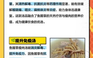 广东鱼腥草煲汤的做法_鱼腥草煲汤有什么功效
