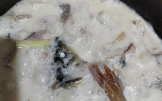 鲤鱼怎么做好吃又简单家常的清炖_清炖鲤鱼的做法窍门