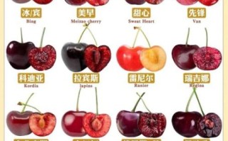 樱桃怎么挑选_樱桃的营养价值