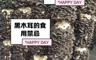 黑木耳能降血脂吗_黑木耳怎么吃最健康