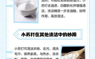 小苏打能洗哪些污渍_小苏打去污原理