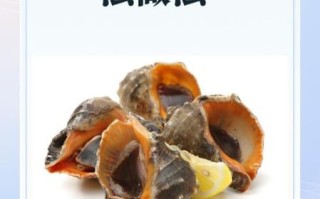 海螺怎么做好吃_海螺做法大全