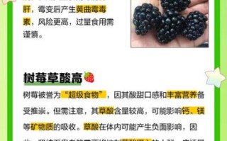 黑树莓的功效与作用禁忌_黑树莓怎么吃最健康
