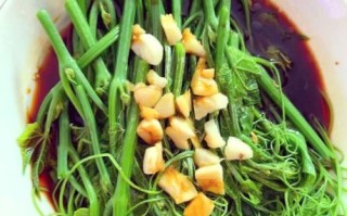 龙须菜图片大全_龙须菜怎么做好吃