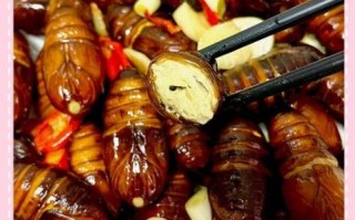 干煸蚕蛹怎么做酥脆_蚕蛹炸多久才够脆