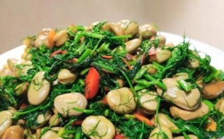 茴香豆怎么做好吃_茴香豆的做法家常