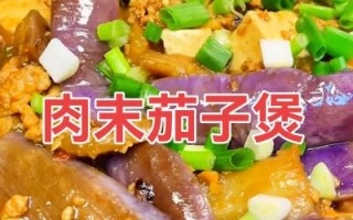 茄子肉末煲怎么做_茄子肉末煲用什么茄子