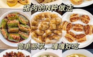 猪肉怎么做好吃_家常猪肉做法视频教程