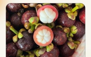 山竹一半白一半透明能吃吗_山竹果肉透明是坏了吗