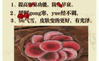 女人吃鹿茸有什么功效_鹿茸对女性的好处