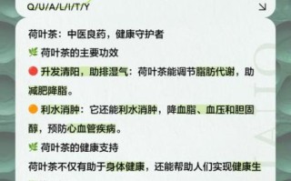 喝荷叶茶可以减肥吗_荷叶茶减肥真相