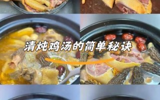 清炖鸡怎么炖才嫩_清炖鸡的做法步骤