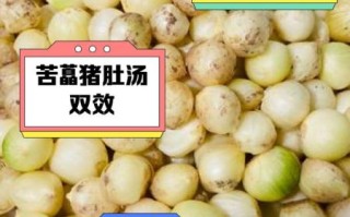 猪肚炖苦藠怎么做_苦藠炖猪肚的功效与禁忌