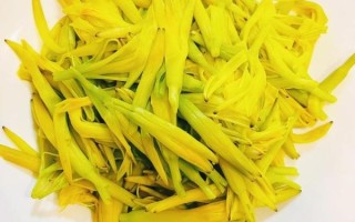 黄花菜炒肉怎么做好吃_黄花菜炒肉的家常做法