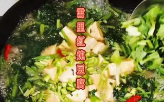 雪里红炖豆腐怎么做_雪里红炖豆腐的家常做法