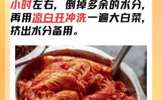 韩国大白菜泡菜怎么腌制_韩国泡菜腌制窍门