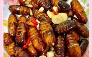 蚕蛹怎么做好吃_蚕蛹的做法大全