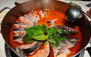 鱼火锅怎么做_鱼火锅家常做法大全