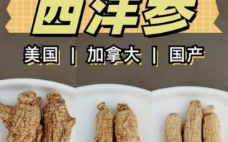 西洋参图片真假鉴别_西洋参功效与作用怎么吃