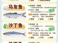 常见海鱼有哪些_常见海鱼营养价值对比