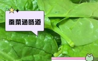 蚕菜是什么菜_蚕菜怎么吃最好吃