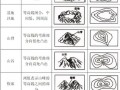 初中地理地图册怎么看_地形图怎么读