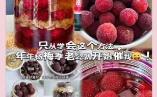 杨梅酒怎么做_自制杨梅酒比例是多少