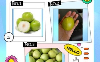 青枣怎么挑选_青枣和红枣的区别