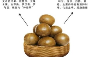 罗汉果有什么功效_罗汉果怎么泡水喝