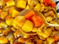 咖喱鸡翅土豆怎么做_咖喱鸡翅土豆需要炖多久