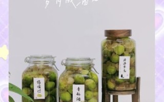 青梅酒怎么泡_青梅酒的做法比例