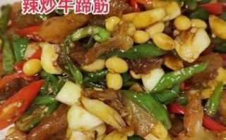 牛蹄筋怎么做好吃_牛蹄筋的家常做法