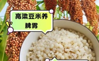 吃高粱米能降血糖吗_高粱米减肥功效怎么样