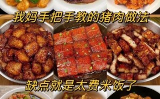酱大块猪肉怎么做_酱大块猪肉的家常做法