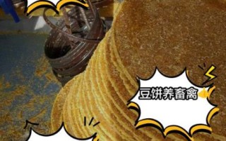 豆饼是什么_豆饼可以直接做肥料吗