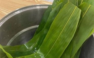 粽叶怎么处理不容易破_粽叶煮多久才软