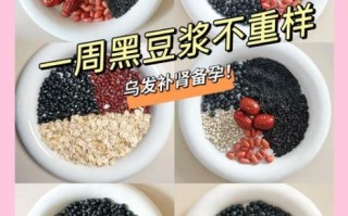 黑豆浆的做法_黑豆浆怎么做好喝