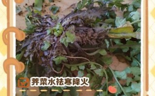 干荠菜煮水喝有什么功效_干荠菜煮水的正确方法