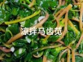 马齿苋凉拌怎么做_马齿苋凉拌需要焯水吗