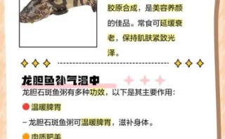 野生石斑鱼的营养价值_野生石斑鱼怎么吃最营养