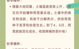 茼蒿什么时候种最好_茼蒿种植时间