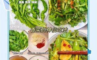 香菜怎么做好吃_香菜拌菜做法大全