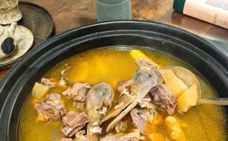 老鸭汤怎么炖好喝又营养_老鸭汤家常做法步骤