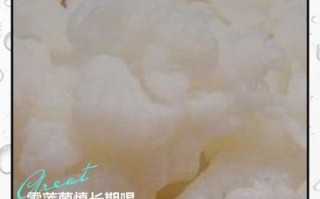 雪莲菌适合什么人喝_雪莲菌不适合什么人喝