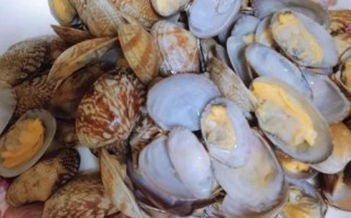 花甲怎么清洗才干净_花甲焯水几分钟最佳