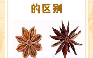 八角怎么挑选_八角真假辨别方法